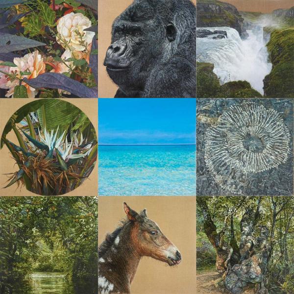 María Sada. Biofilia - Exposición temporal | INBA - Instituto Nacional ...