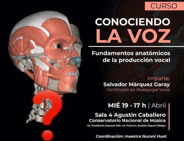 Curso Conociendo la voz - Fundamentos anatómicos de la producción vocal ...