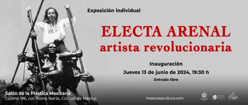 Electa Arenal (1935-1969) - Artista revolucionaria | INBA - Instituto ...