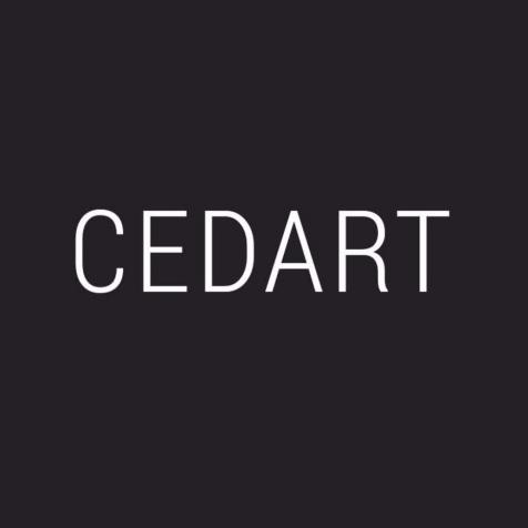 Centro de Educación Artística (CEDART) “José Eduardo Pierson” | INBA ...