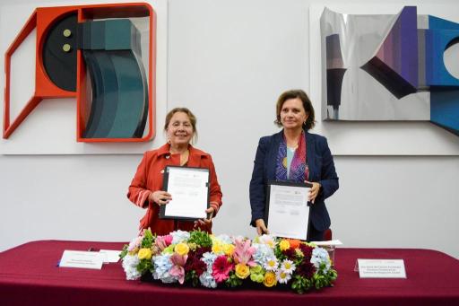 Institutional Collaboration Agreement between INBAL and CIJ: Access to ...