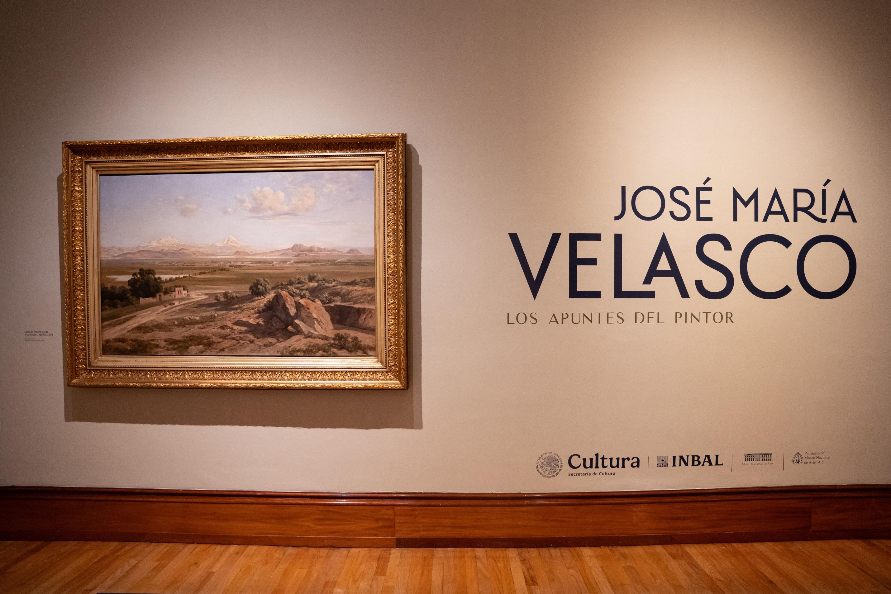 JOSÉ MARÍA VELASCO: PINTOR, HOMBRE DE CIENCIA Y EXPLORADOR DE LA ...